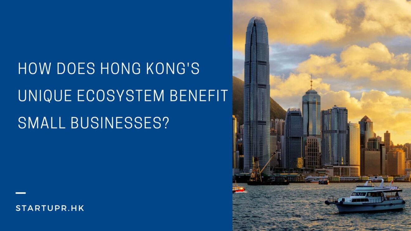 How Does Hong Kong's Unique Ecosystem Benefit Small Businesses ...